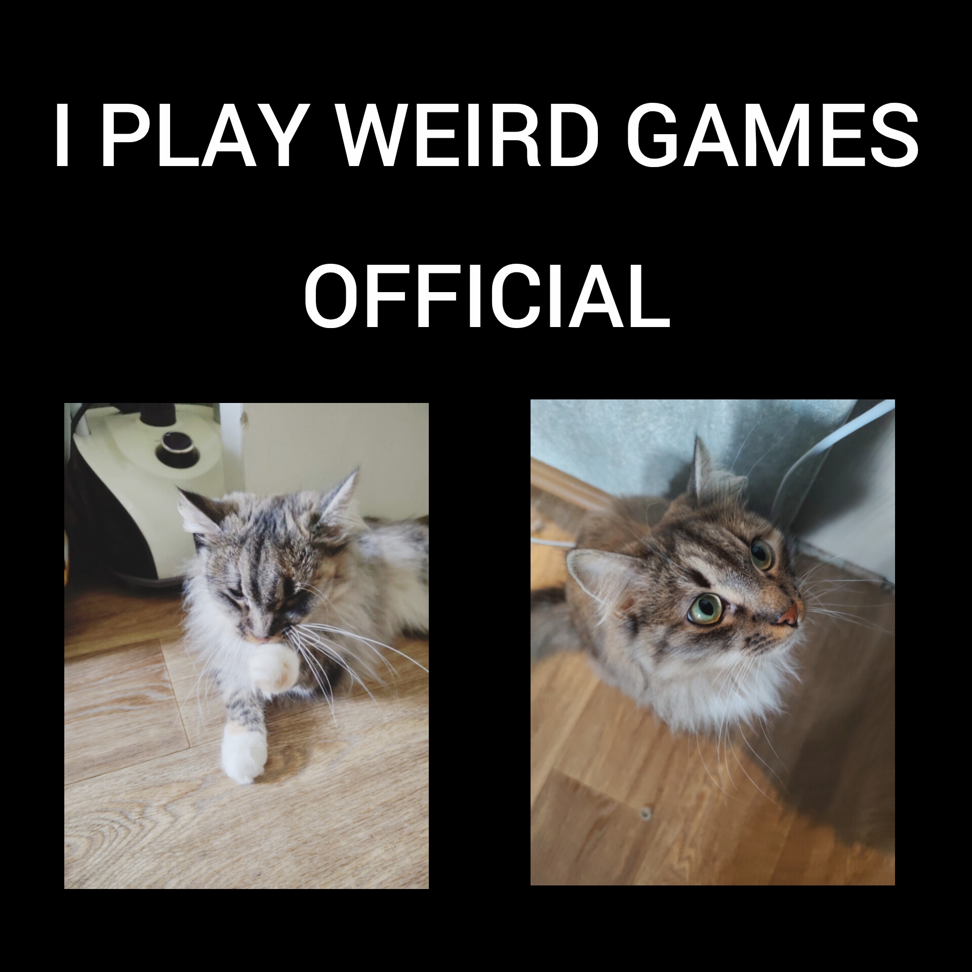 Иконка канала I PLAY WEIRD GAMES 🇧🇾