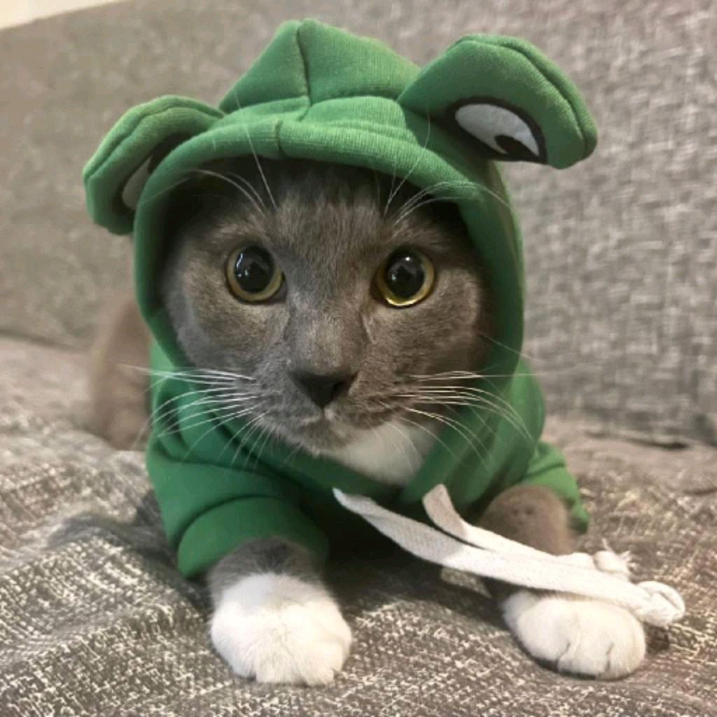 Иконка канала КОТИК