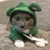 Иконка канала КОТИК