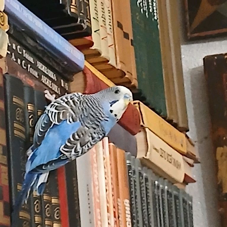 Иконка канала Саянкины игры 🎲✨