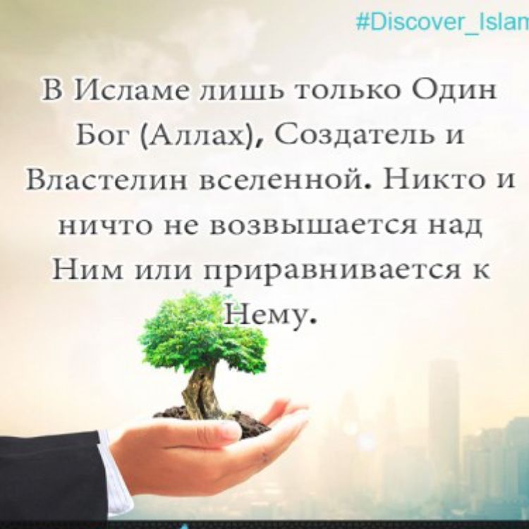 Иконка канала Узнайте об исламе