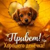 Иконка канала Dinaxon.16
