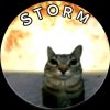 Иконка канала Storm