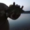 Иконка канала Иван Царевич