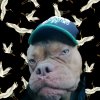 Иконка канала TEO.PRIME