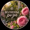 Иконка канала Юлины розы