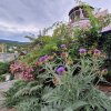Иконка канала Жизнь на берегу Черного моря