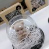 Иконка канала Маруся