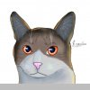 Иконка канала Sarah_cate