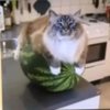 Иконка канала ВалераPLOY 97
