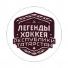 Иконка канала Легенды Хоккея Республики Татарстан