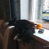 Иконка канала Роблокс Игры