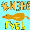 Иконка канала ЖизнеГусь