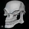 Иконка канала 📡СКЕЛЕТОПЛЭЙ📡 ANIMATION