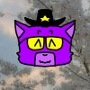 Иконка канала Ночной Кот