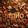 Иконка канала Мурино FM