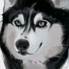 Иконка канала ★~°Luma_her°~🎵•