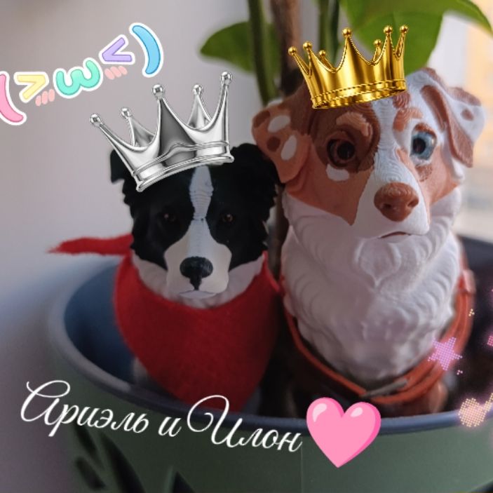 Иконка канала Ариэль & Илон 🍁🌼🐕