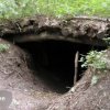 Иконка канала Лапата Бун