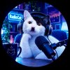 Иконка канала RADIOCAT