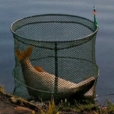 Иконка канала WaterFish