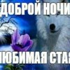 Иконка канала Ловим передозики😝