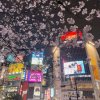 Иконка канала Tokio
