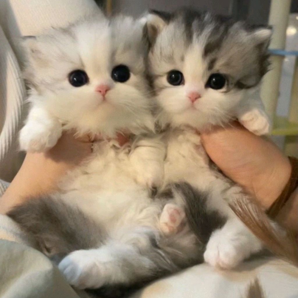 Иконка канала 😍