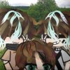 Иконка канала РЫЖИЙ ЛЕС,ОПЕРАЦИЯ КРАСНЫЙ КЛЮЧ