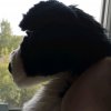 Иконка канала 🎀🐾luna Essa🐾🎀
