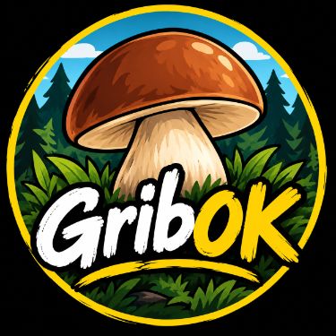 Иконка канала GribOK