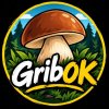 Иконка канала GribOK