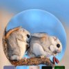 Иконка канала Аскар приключения