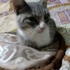 Иконка канала Неизвестно