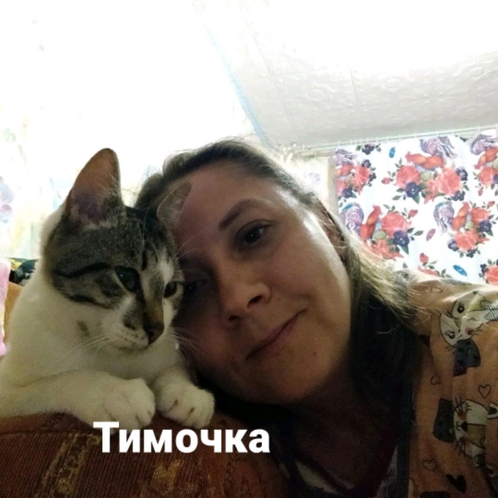 Иконка канала ПОМОГАЮ ЖИВОТНЫМ 🐈♥️