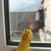 Иконка канала Баба Люда и Ваня