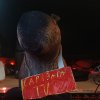 Иконка канала Capibara tv
