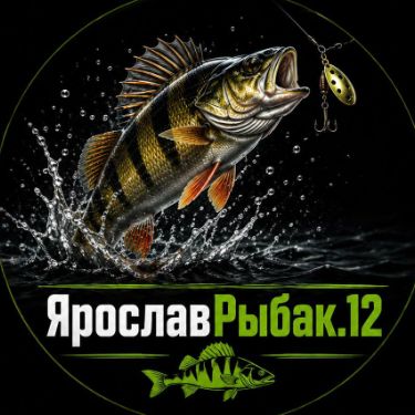 Иконка канала ЯрославРыбак.12