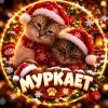 Иконка канала муркает новогодняя