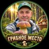 Иконка канала Грибное место - PerSey TV