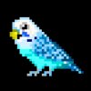 Иконка канала 🦜°•parrot_[🍀]