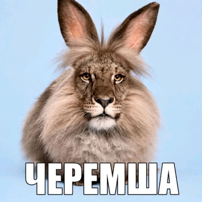 Иконка канала Бельтюков М