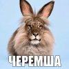 Иконка канала Бельтюков М