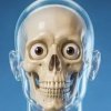 Иконка канала Stories Of Skeleton