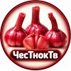 Иконка канала ЧесТнок Тв