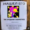 Иконка канала 🪼🪷Софья Мишка (Official) 🍋🪻