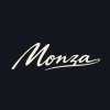 Иконка канала Monza · для GAC GS8