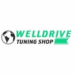 Иконка канала WELLDRIVE