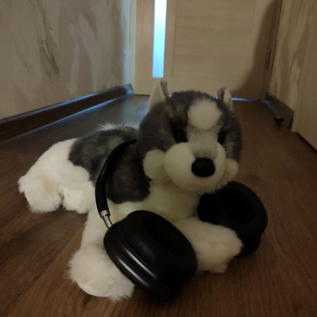 Иконка канала 🎧𝐵𝑒𝓈𝓈𝑜𝓃𝓃𝓎𝑒 𝓅𝓈𝓎 ☕
☕☕