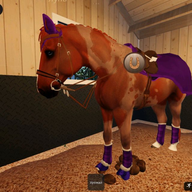 Иконка канала Кск_horse.qust🏇🏻🪻